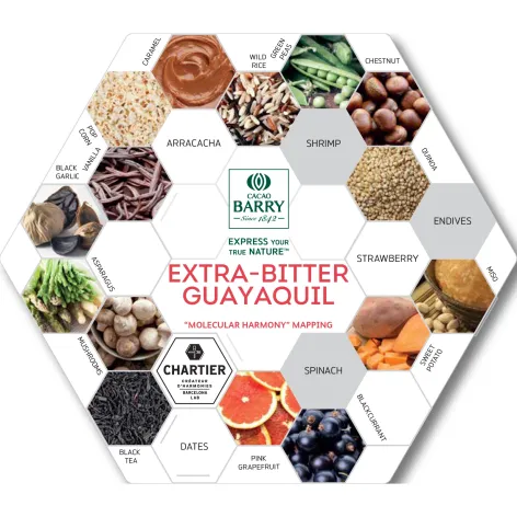 Cacao Barry Extra Bitter Guayaquil 64% Dark Chocolate from Keylink ...