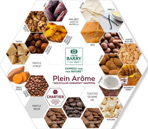 Plein Arome Cocoa Powder by Cacao Barry, available from Keylink in the ...